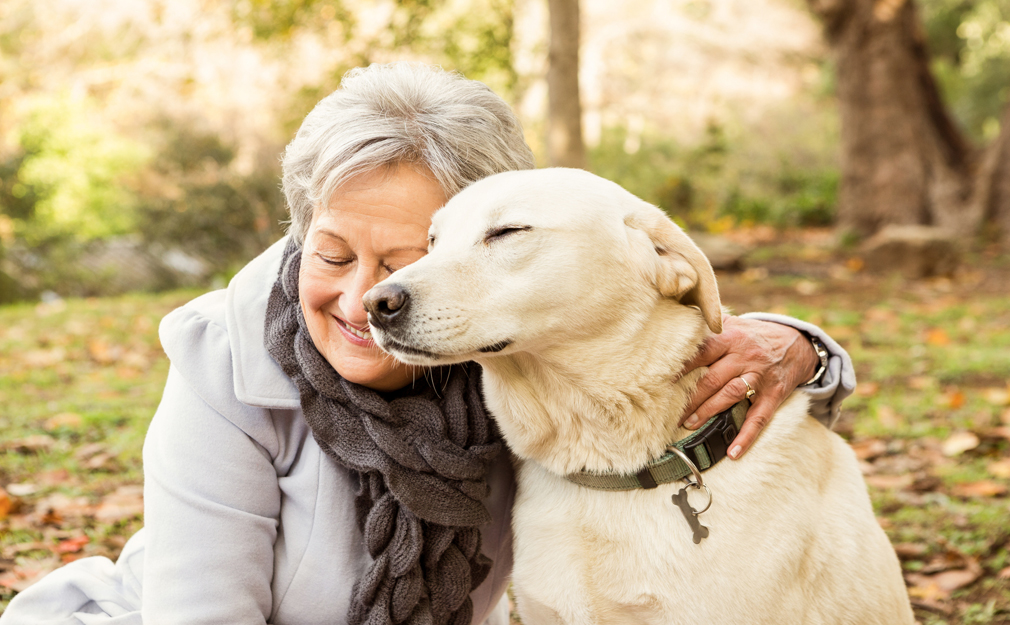 How pets can help with brain rehabilitation